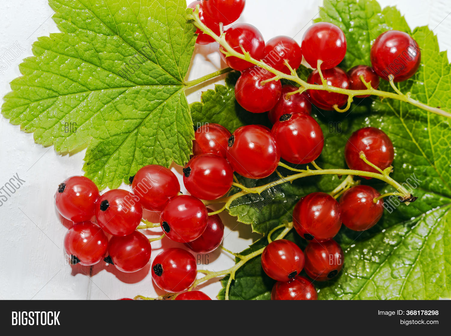 Juicy Currant. Fresh Image & Photo (Free Trial) | Bigstock