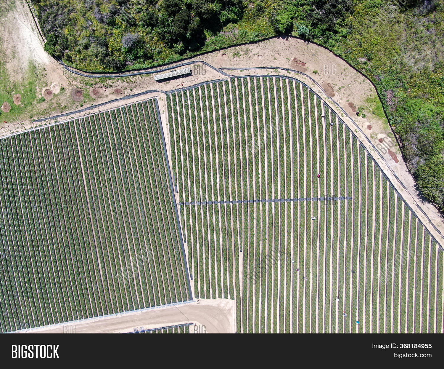 Aerial Top View Green Image & Photo (Free Trial) | Bigstock