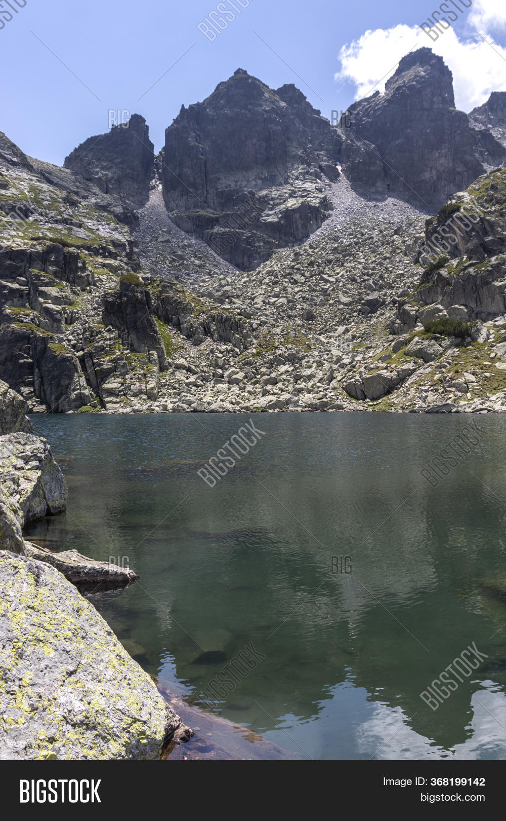 Summer View Scary Lake Image & Photo (Free Trial) | Bigstock