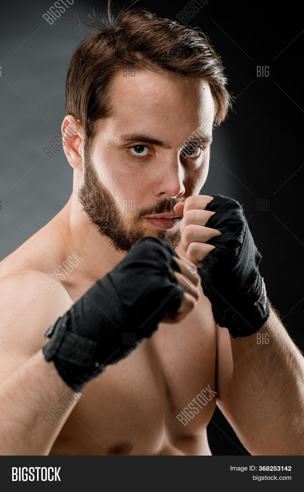 Portrait Boxer Image & Photo (Free Trial) | Bigstock