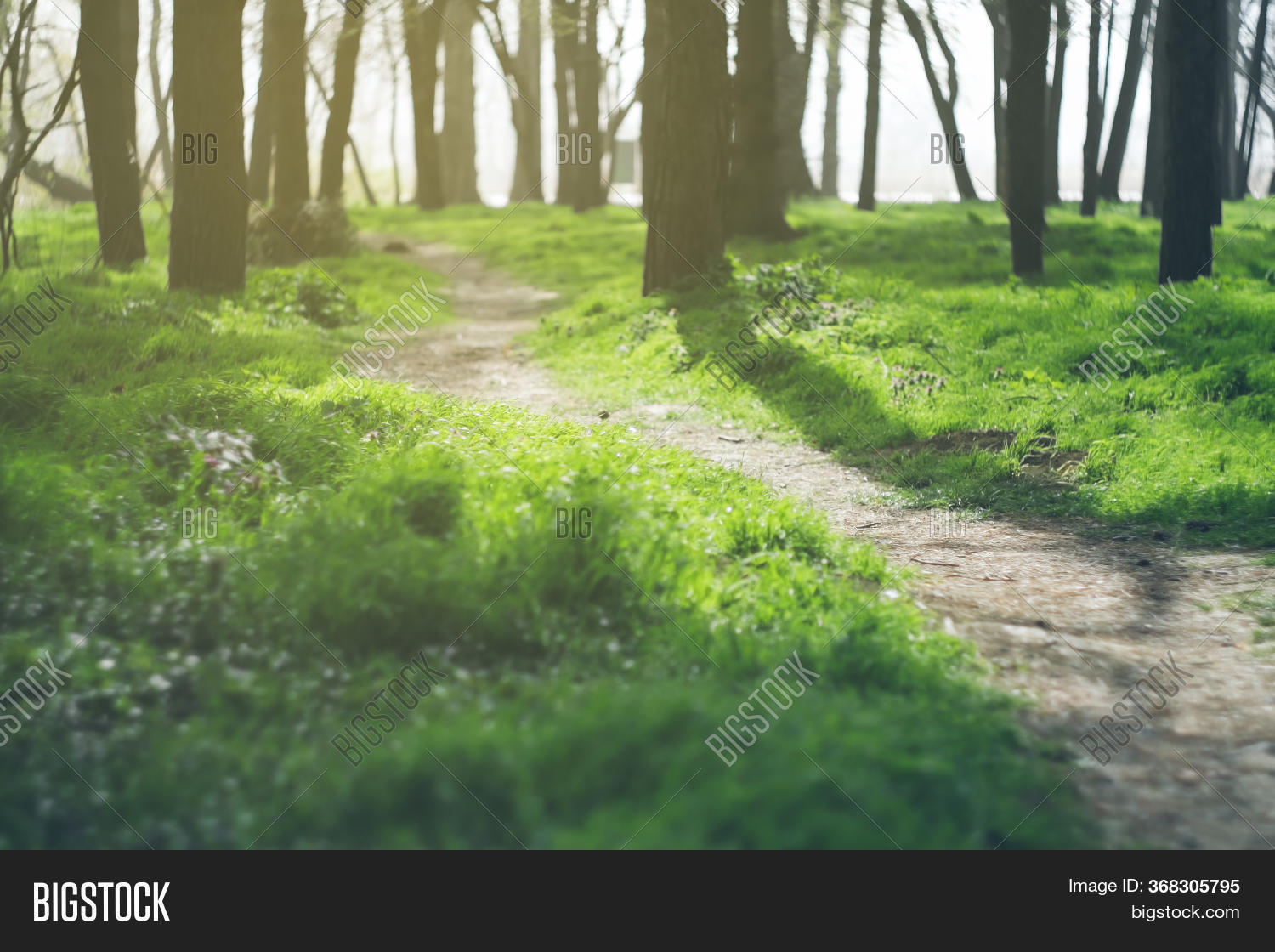 Path Running Among Image & Photo (Free Trial) | Bigstock