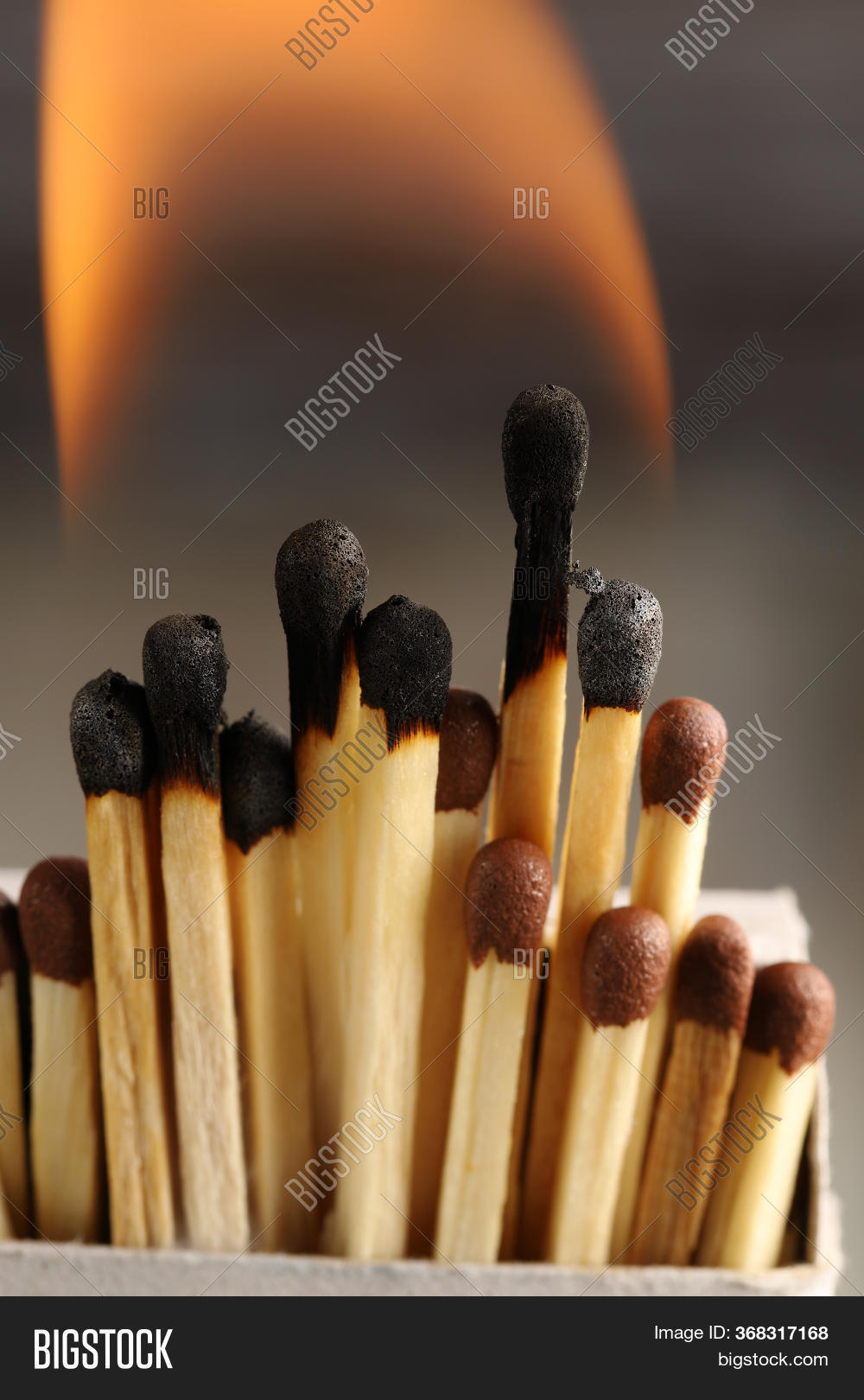 Burning Matches Image & Photo (Free Trial) | Bigstock