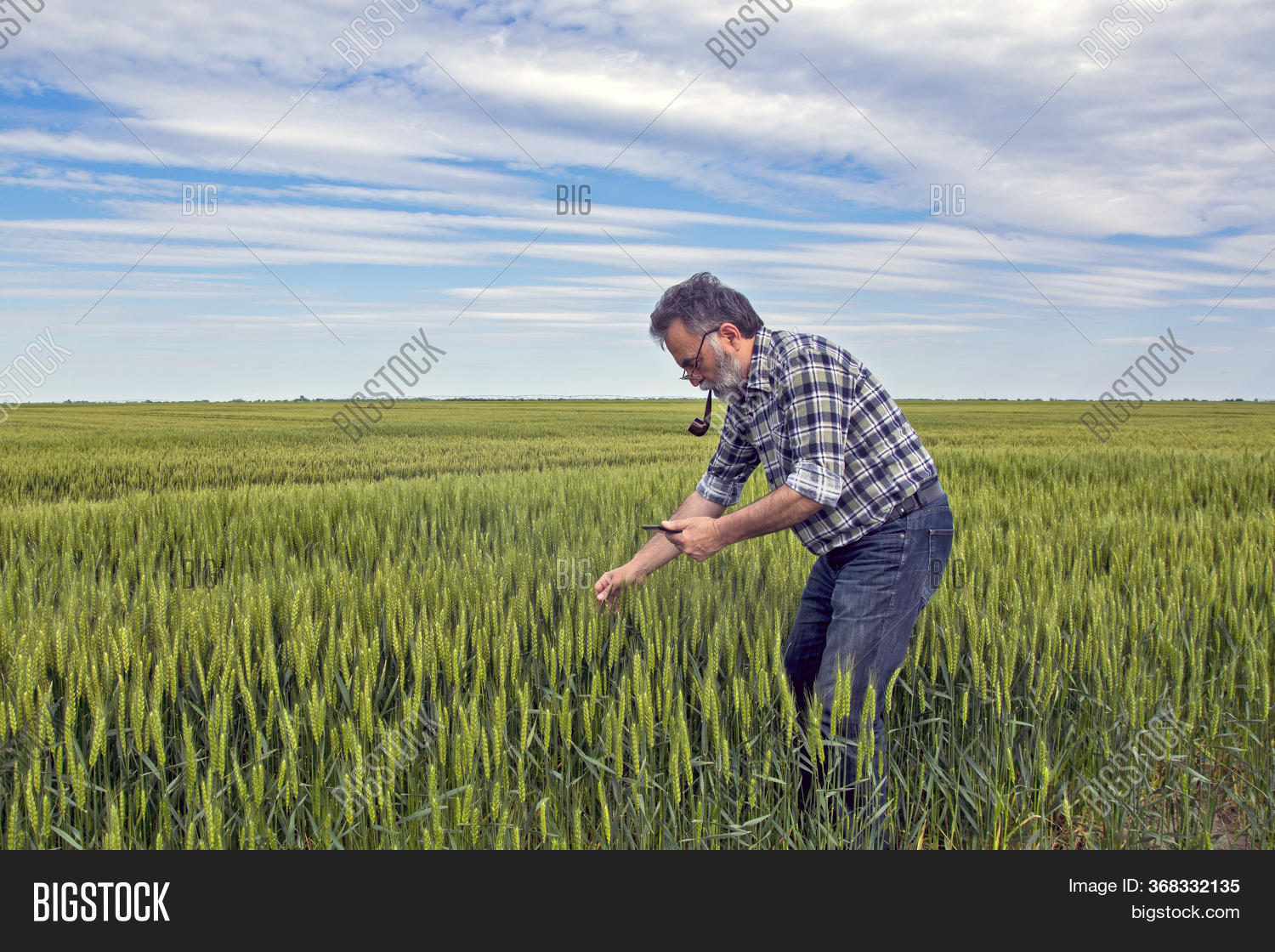Farmer Field Image & Photo (Free Trial) | Bigstock