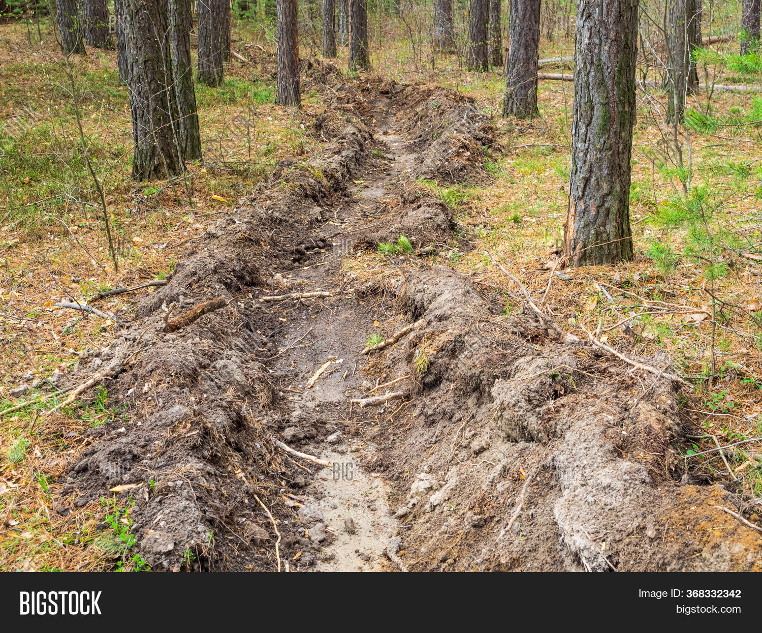 Ditch Forest Prevents Image & Photo (Free Trial) | Bigstock