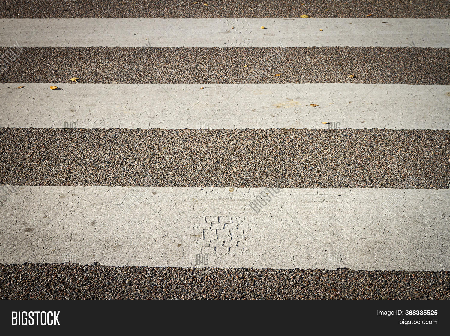 Pedestrian Zebra Image & Photo (Free Trial) | Bigstock