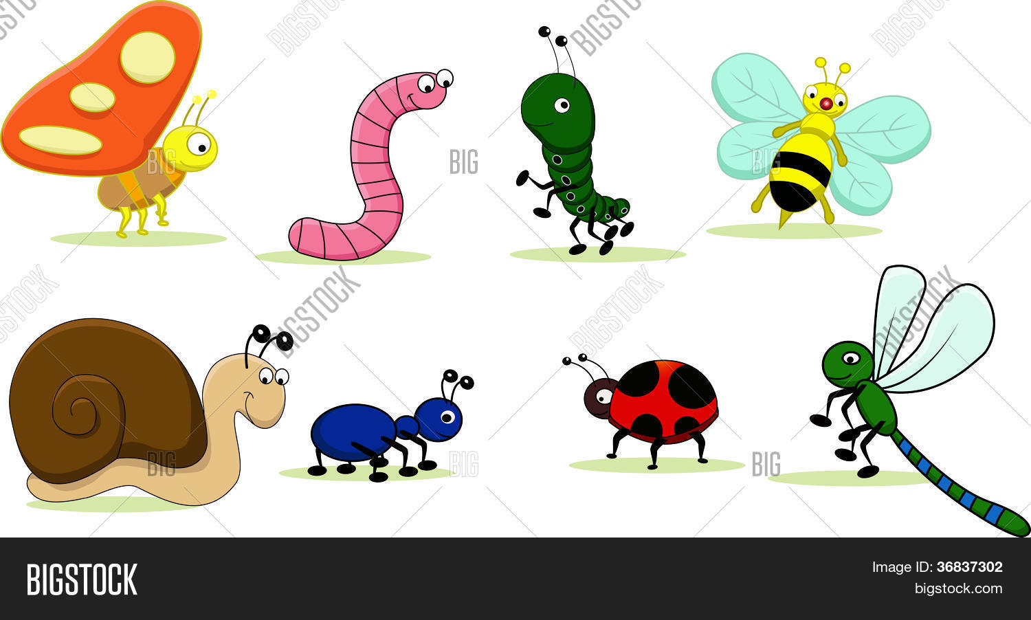 Cute Insects Cartoon Vector & Photo (Free Trial) | Bigstock