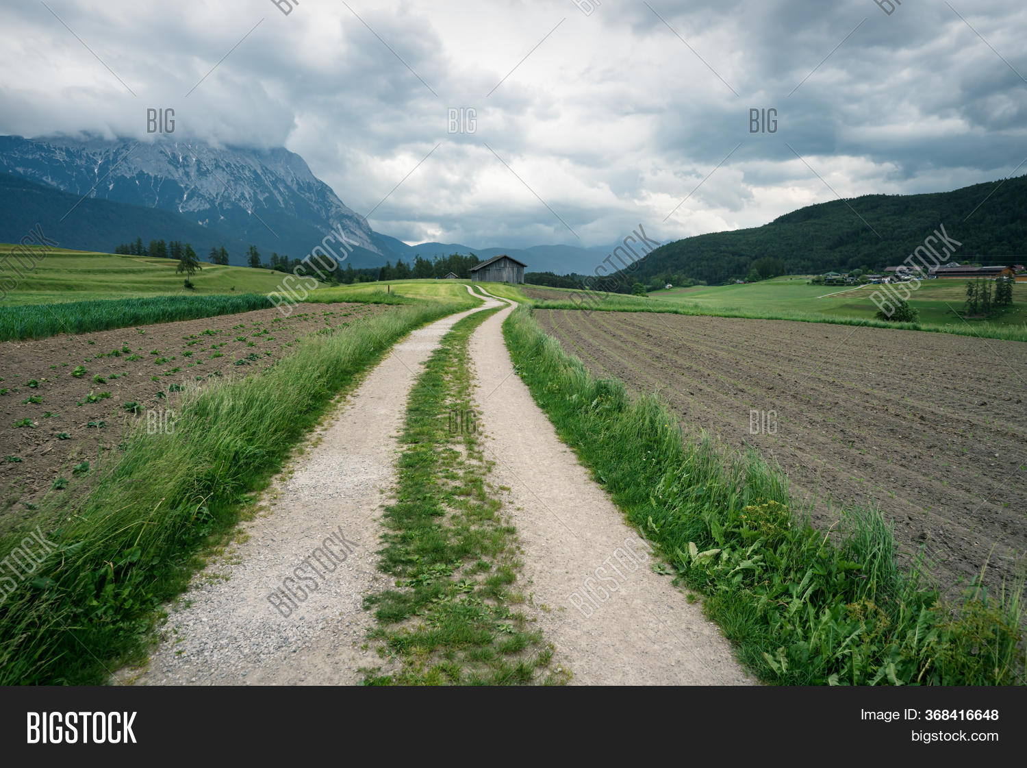 Winding Path Through Image & Photo (Free Trial) | Bigstock