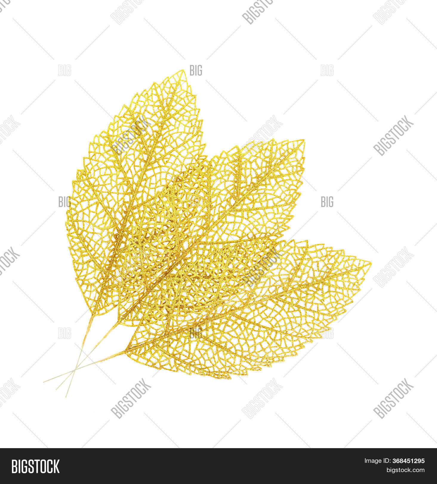 Gold Branch Leaves On Image & Photo (Free Trial) | Bigstock