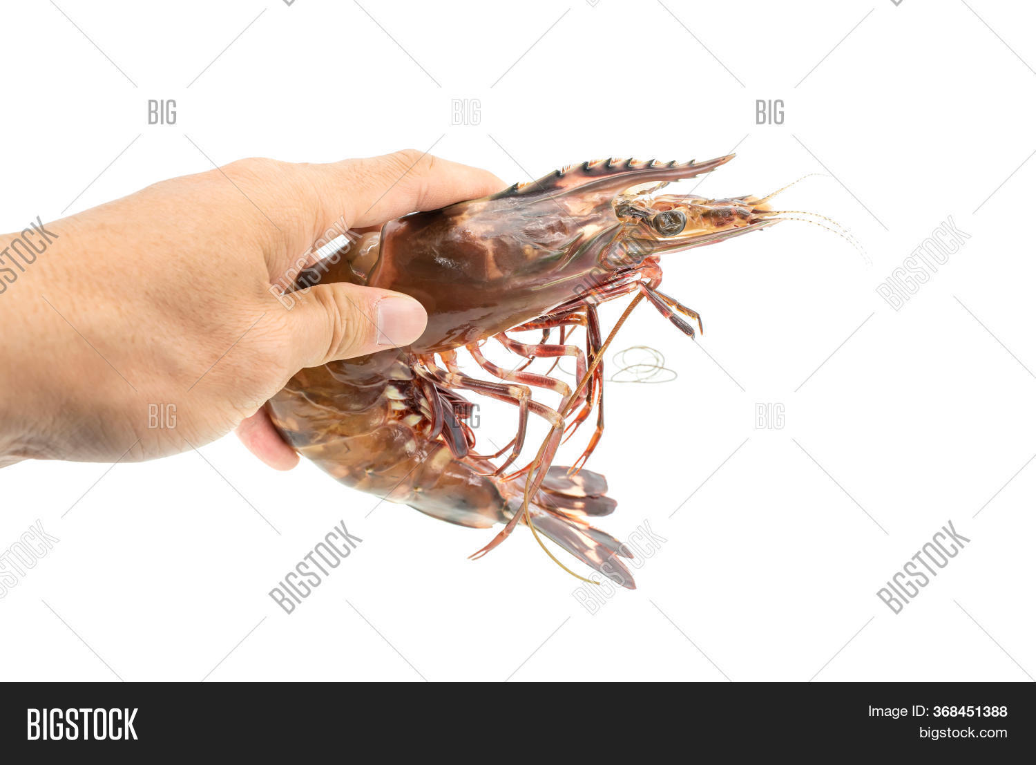 Hands Men Holding Image & Photo (Free Trial) | Bigstock