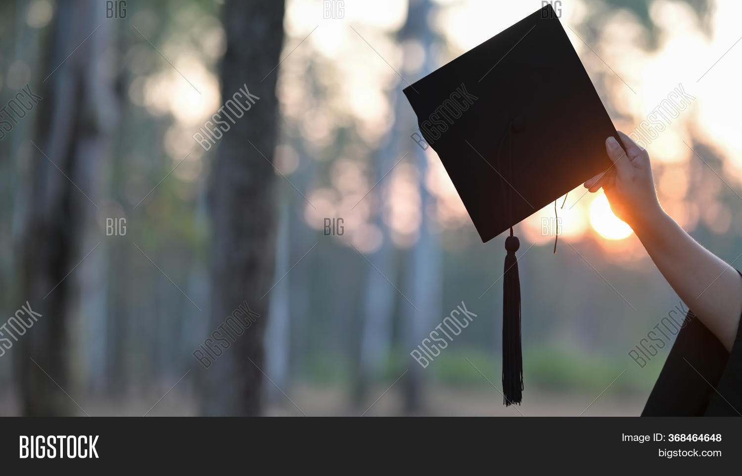 Graduate Woman Hand Image & Photo (Free Trial) | Bigstock