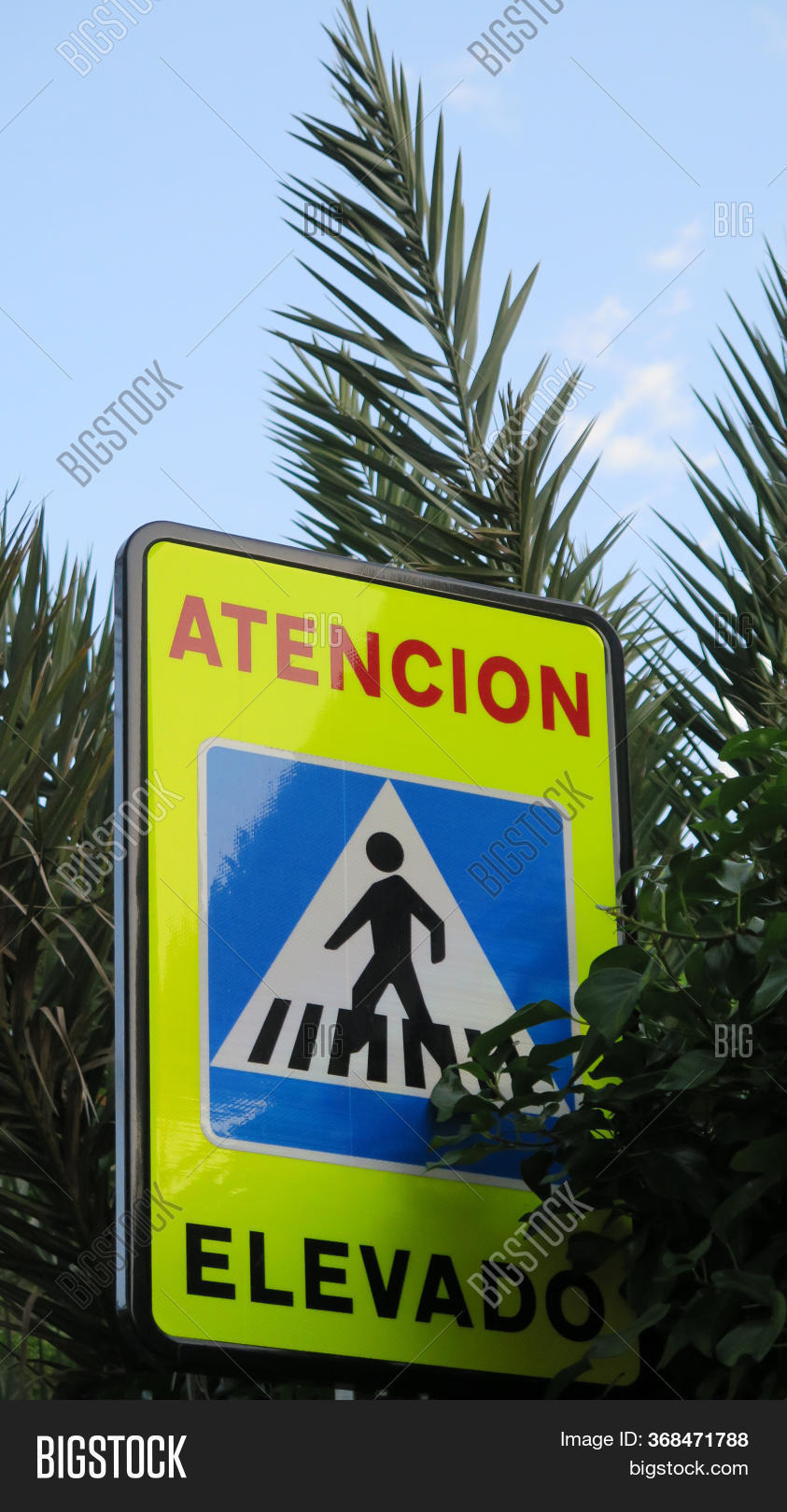 Elevated Pedestrian Image & Photo (Free Trial) | Bigstock