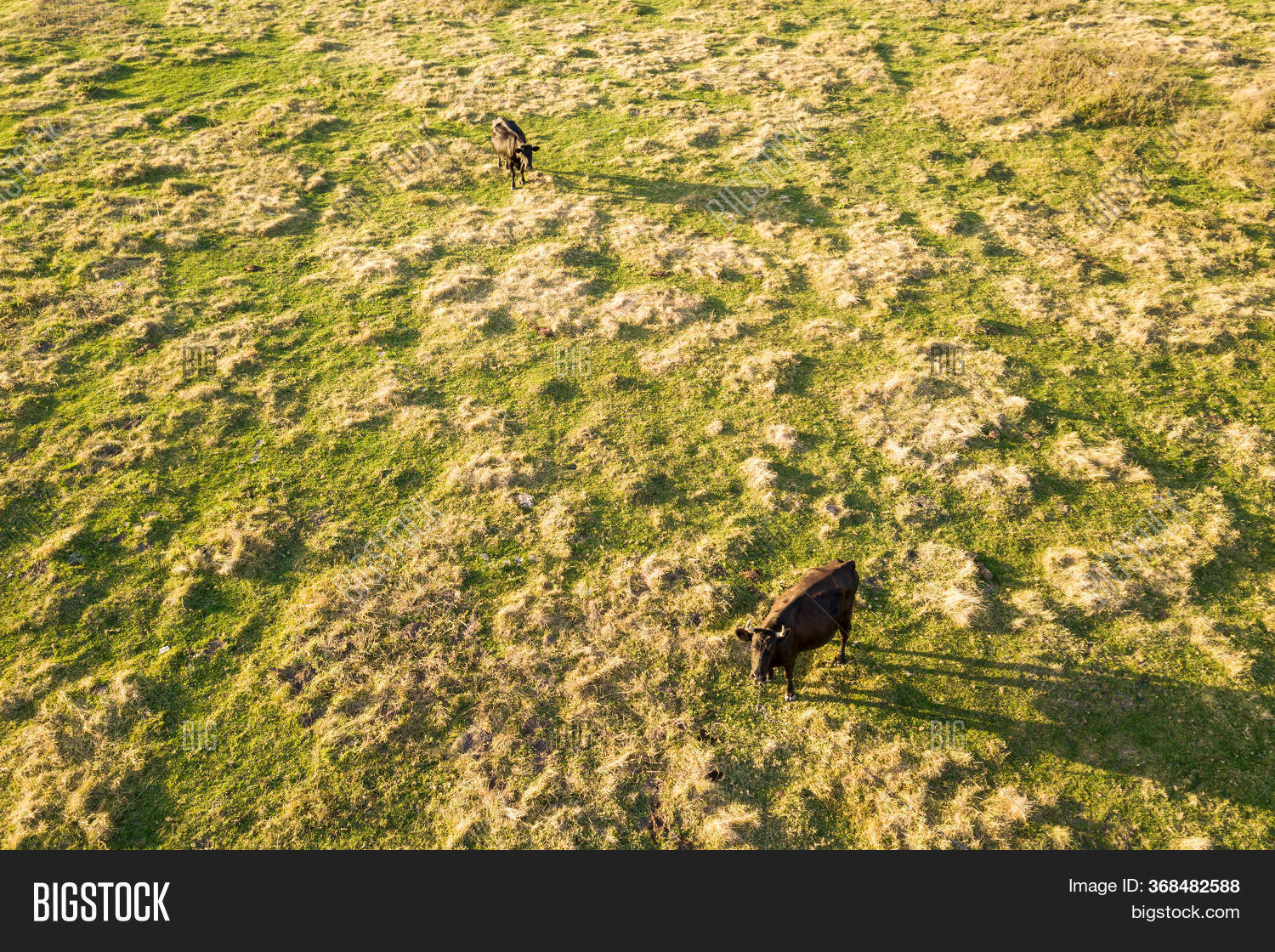 Aerial Top Down View Image & Photo (Free Trial) | Bigstock
