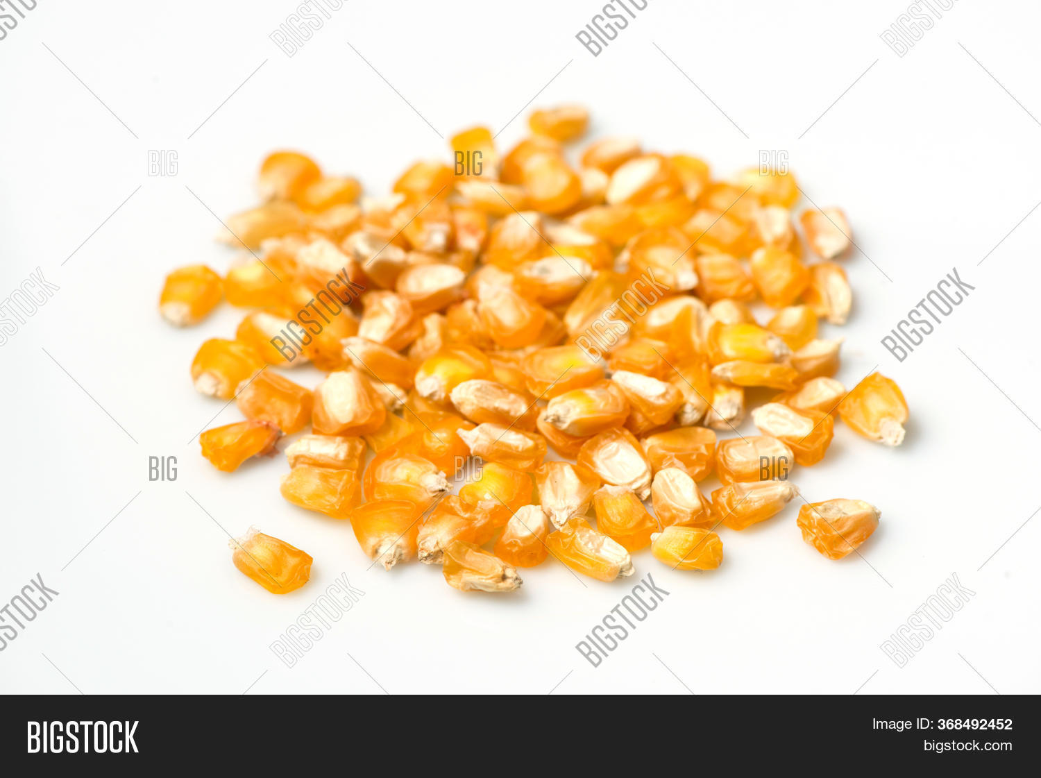 Corn Seeds Close-. Image & Photo (Free Trial) | Bigstock