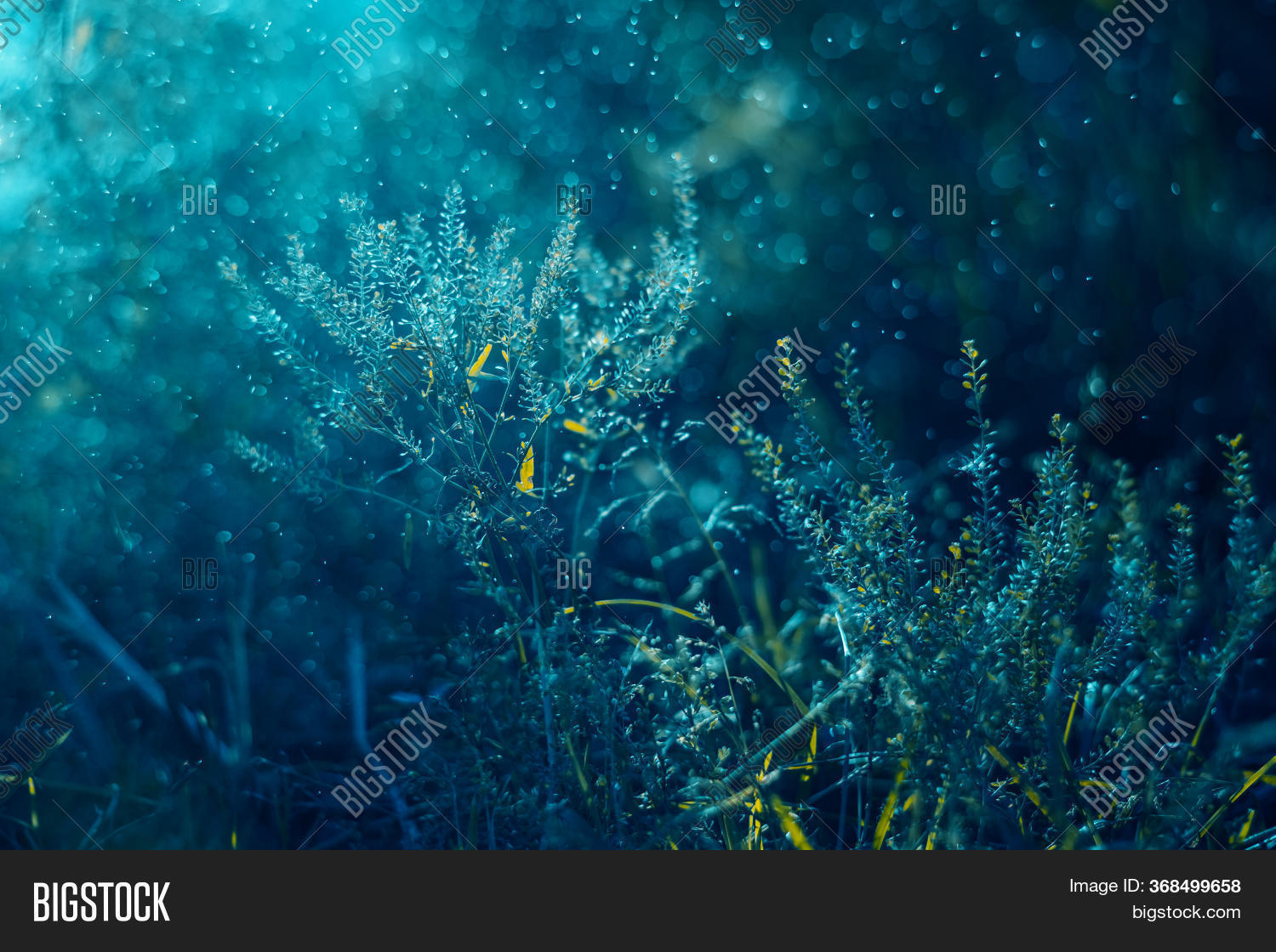 Soft Turquoise Image & Photo (Free Trial) | Bigstock