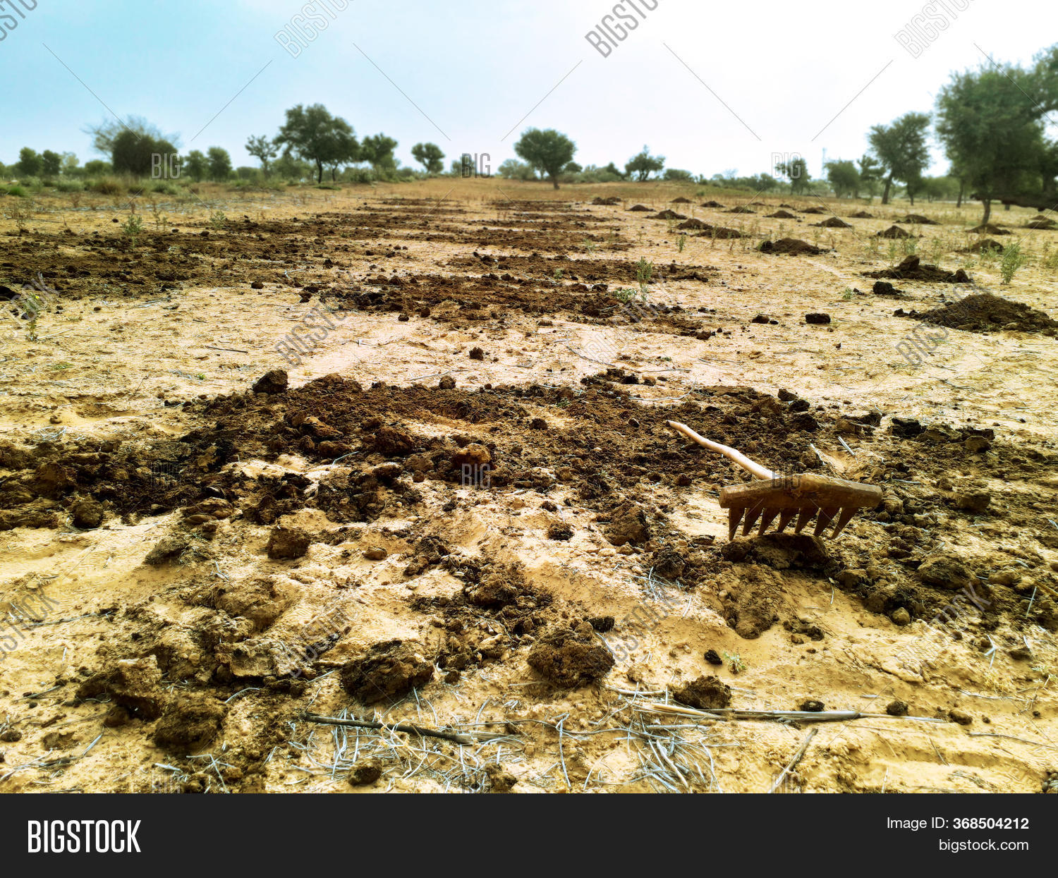 Dispersing Heap Pile Image & Photo (Free Trial) | Bigstock