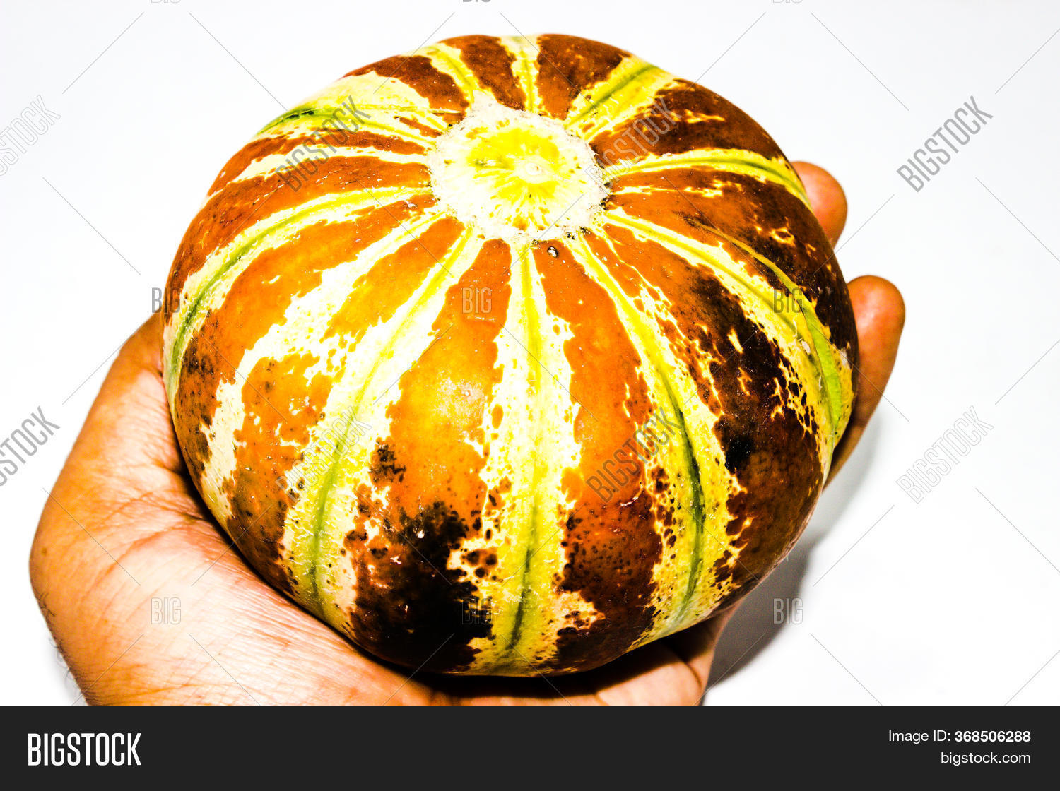 Picture Muskmelon Image & Photo (Free Trial) | Bigstock