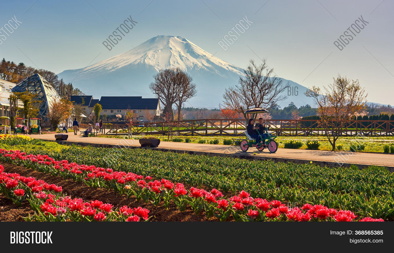 Yamanakako Hanano Image & Photo (Free Trial) | Bigstock