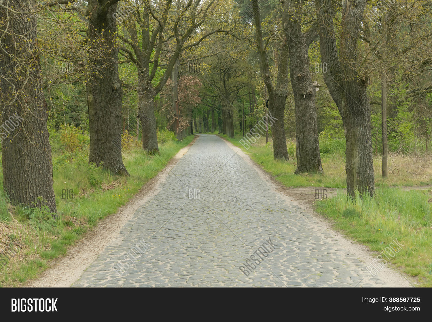 Rural, Narrow, Paved Image & Photo (Free Trial) | Bigstock