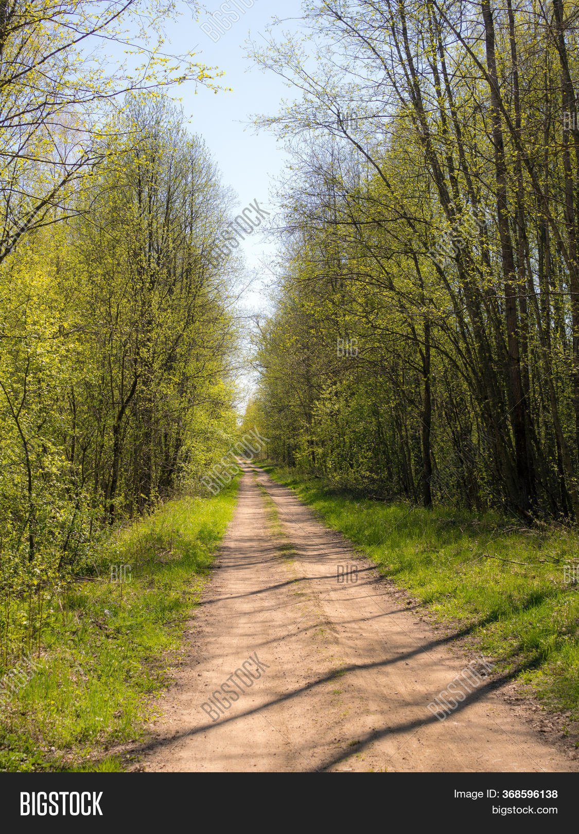 Dirt Road Spring Image & Photo (Free Trial) | Bigstock