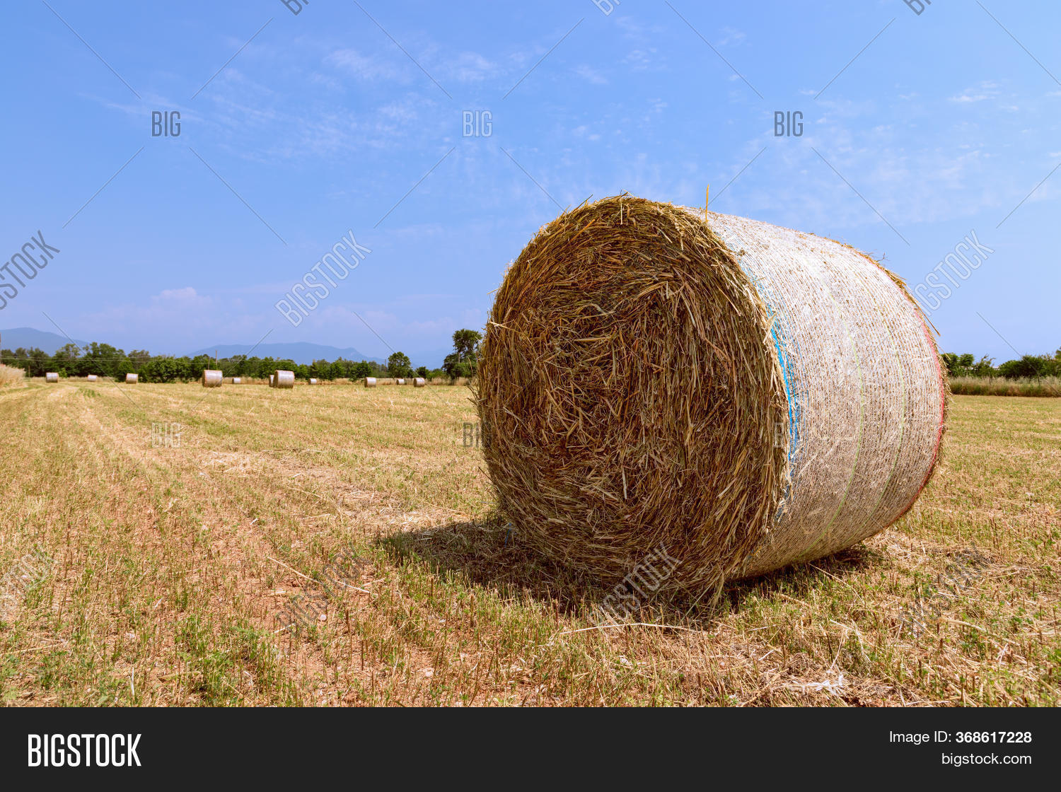 Hay Rolls On Village Image & Photo (Free Trial) | Bigstock