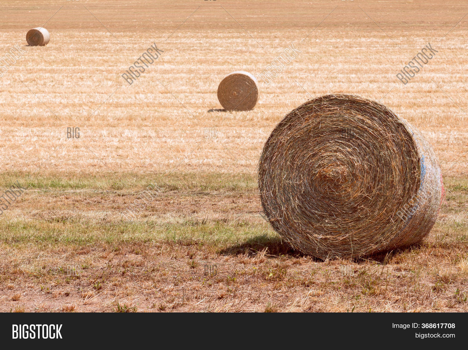 Hay Rolls On Village Image & Photo (Free Trial) | Bigstock