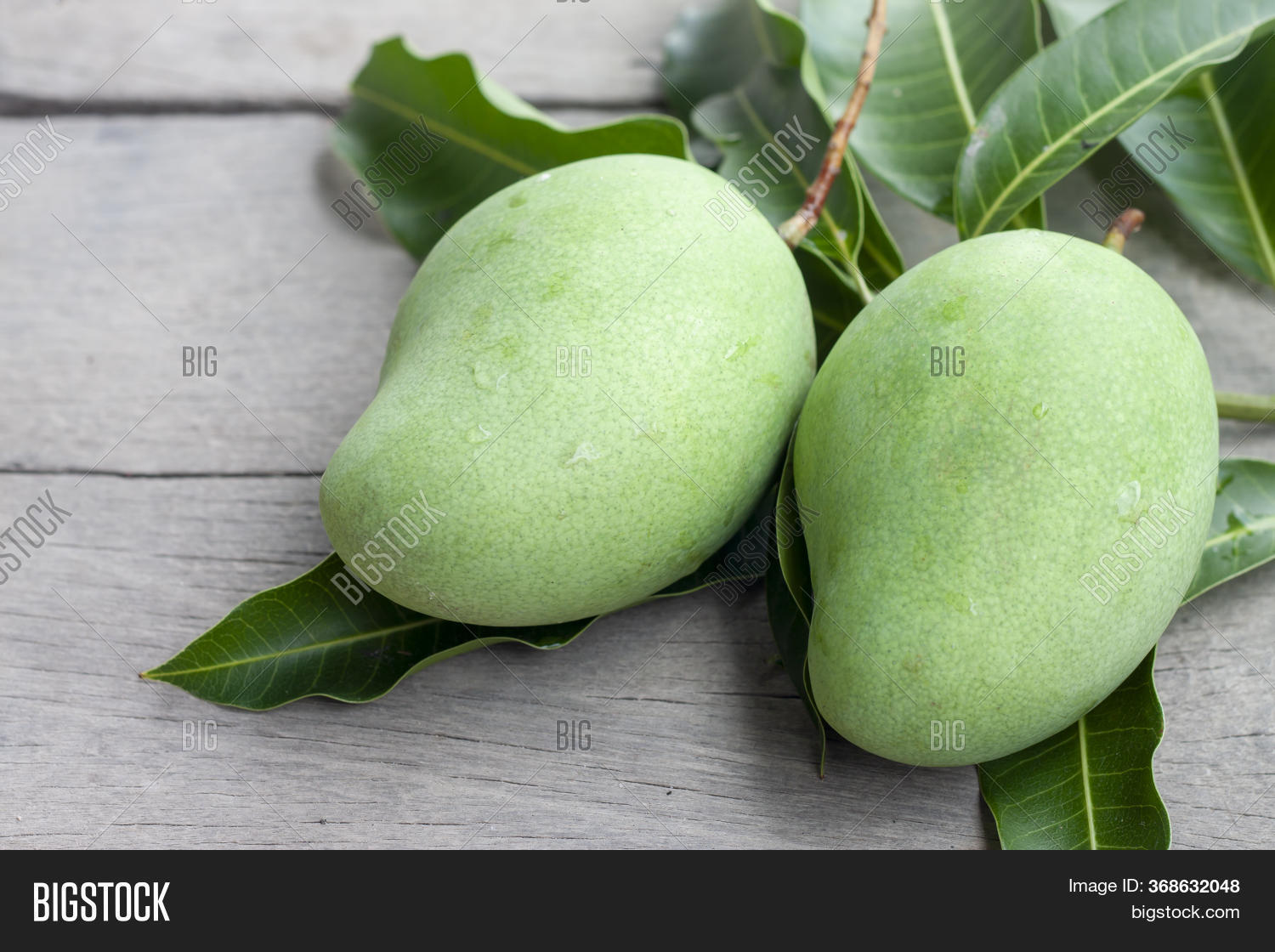 Fresh Raw Mango Leaf Image & Photo (Free Trial) | Bigstock