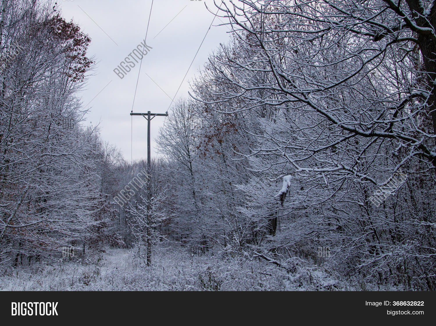 Electrical Power Line Image & Photo (Free Trial) | Bigstock