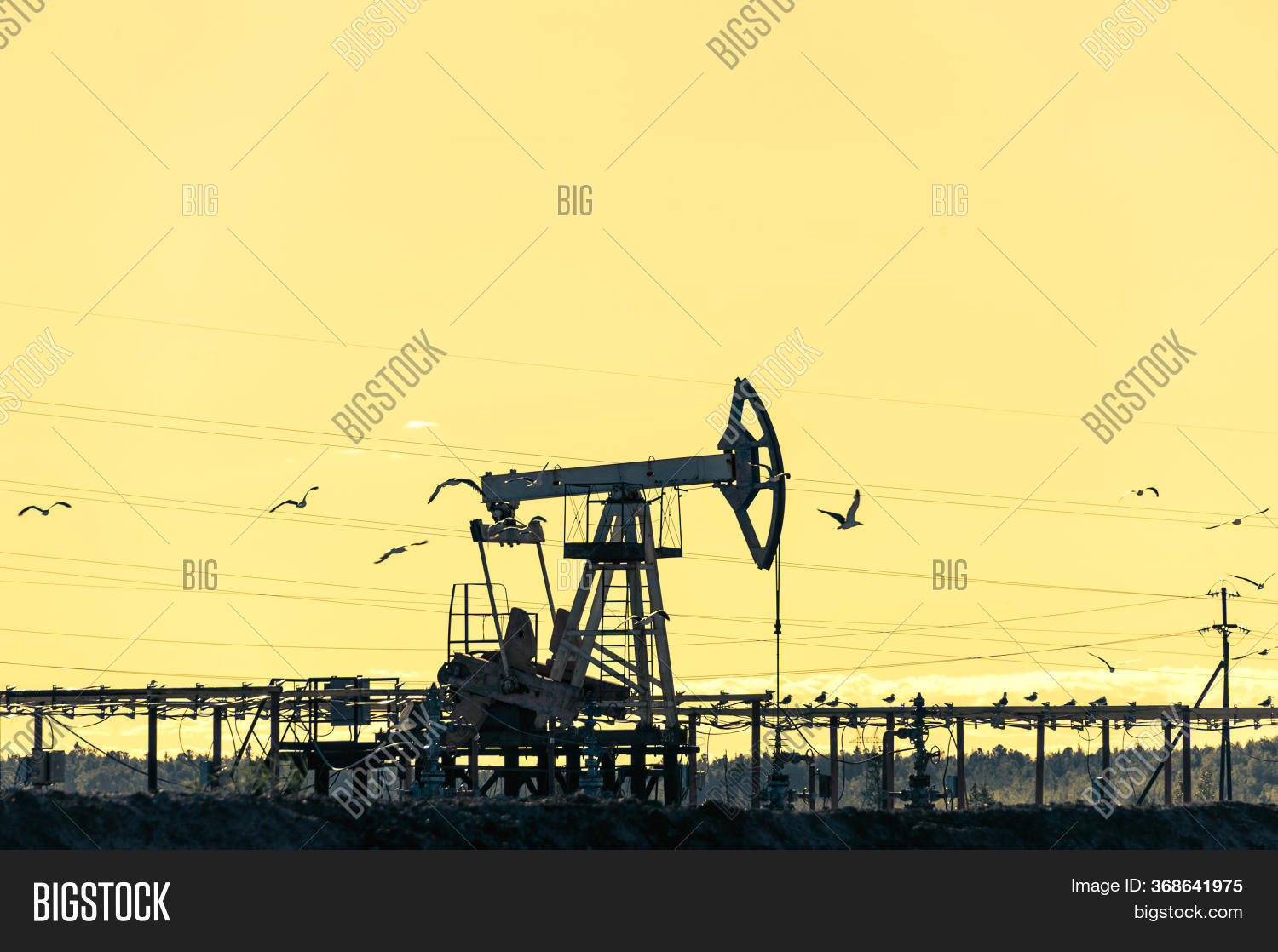 Oil Pump Rig. Oil Gas Image & Photo (Free Trial) | Bigstock