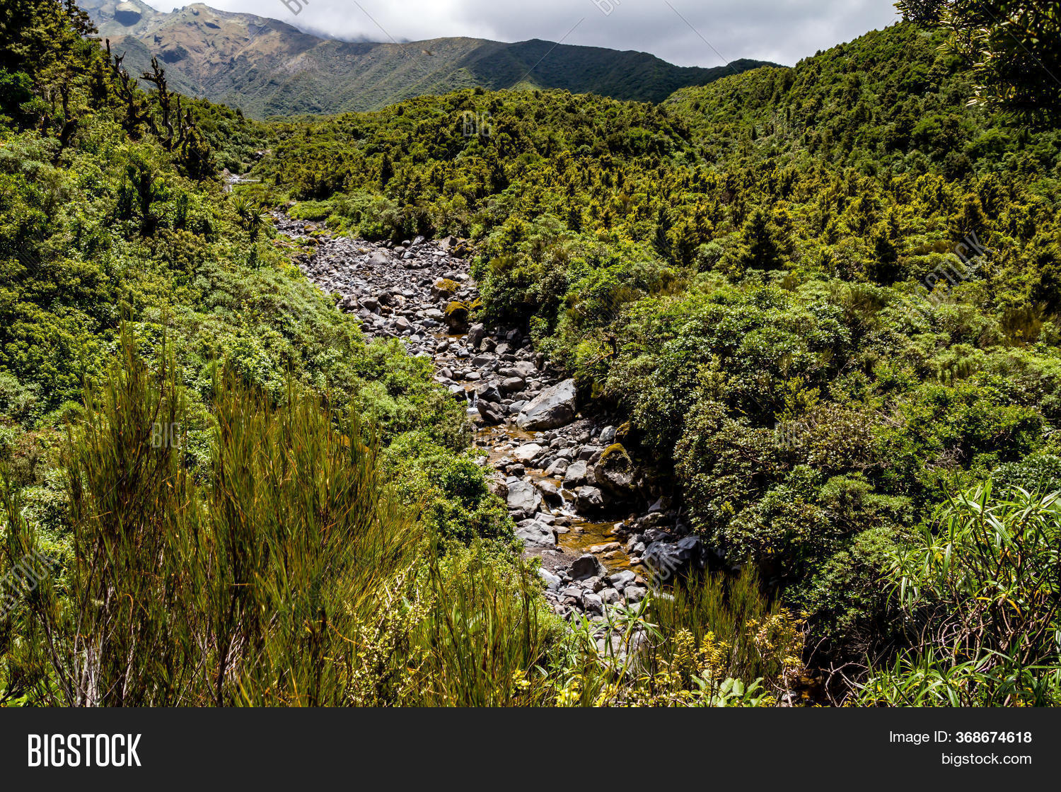 Mount Fortune. Peter Image & Photo (Free Trial) | Bigstock