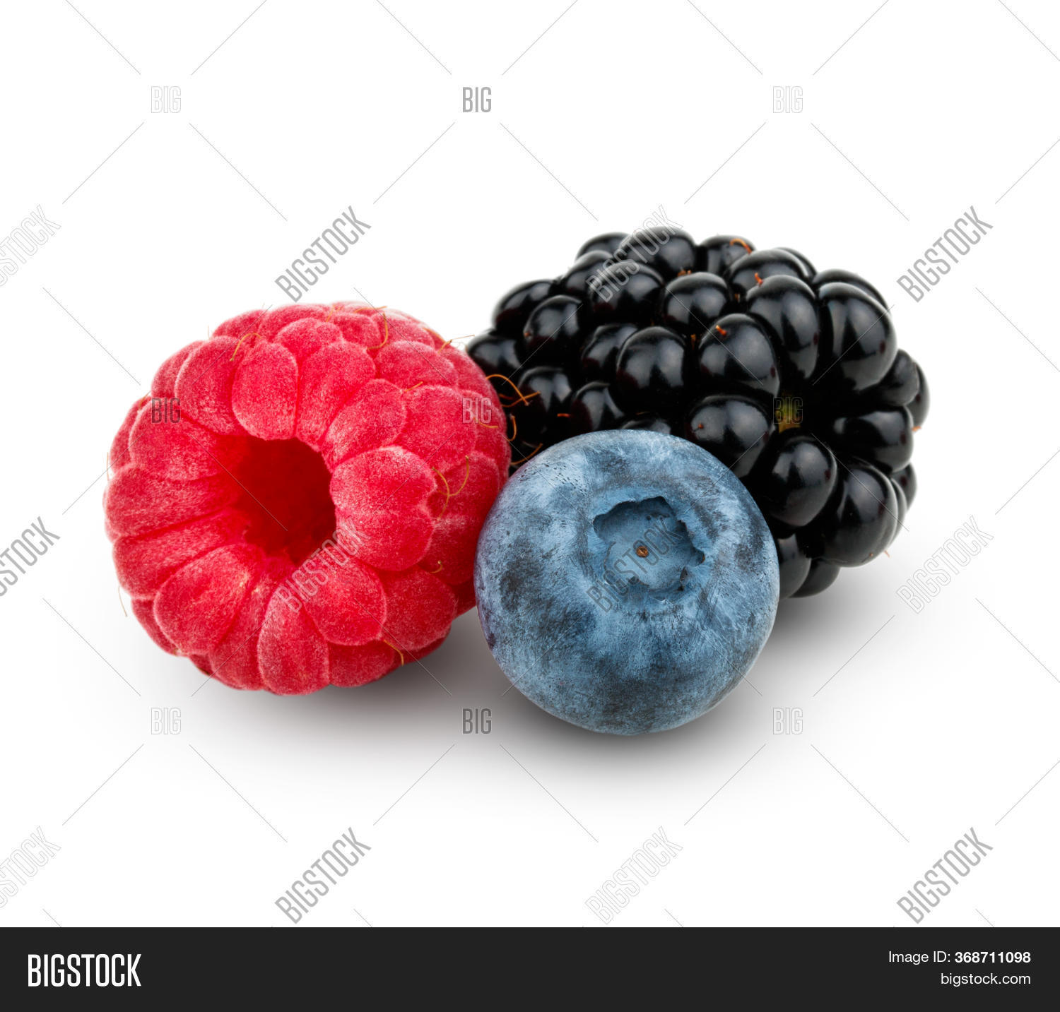 Wild Berry, Mix Image & Photo (Free Trial) | Bigstock