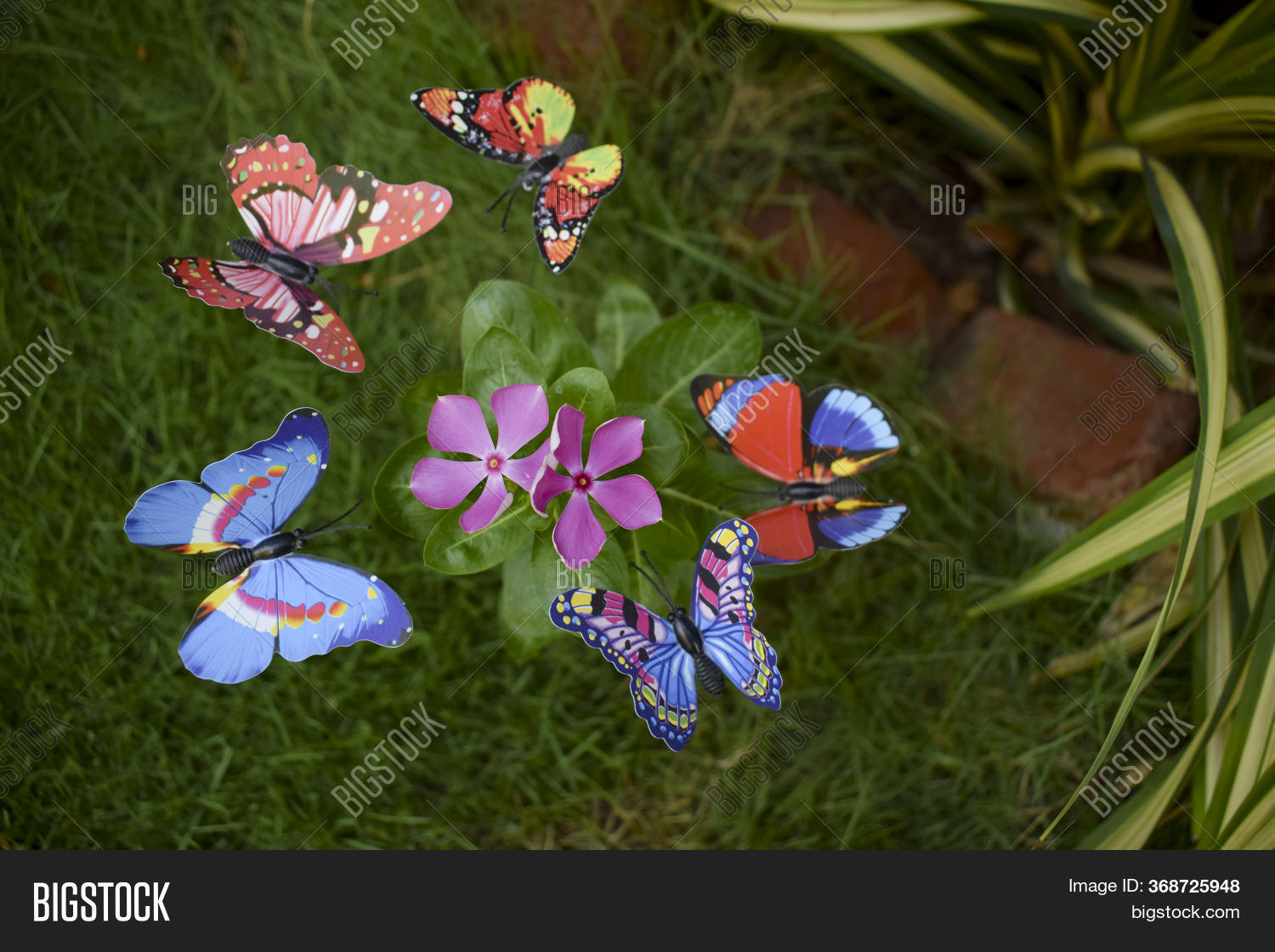 Top View Assorted Image & Photo (Free Trial) | Bigstock