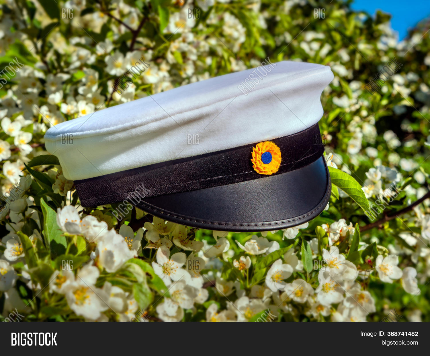 Swedish Graduation Cap Image & Photo (Free Trial) | Bigstock