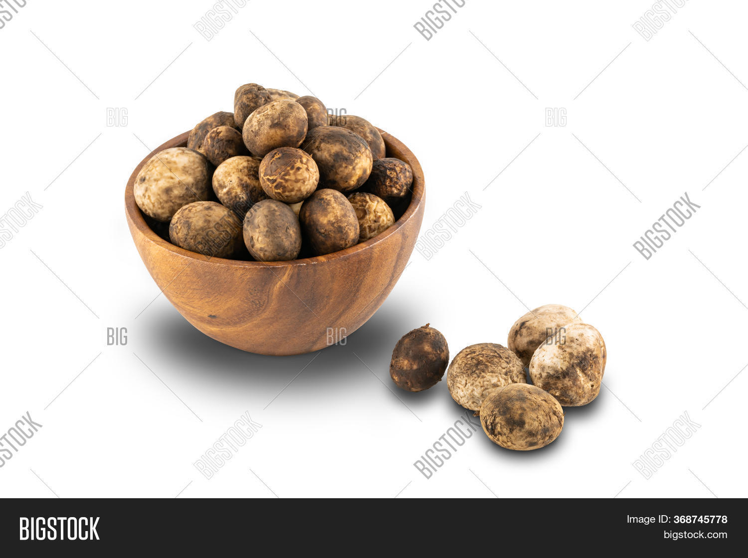Mushroom Hygroscopic Image & Photo (Free Trial) | Bigstock
