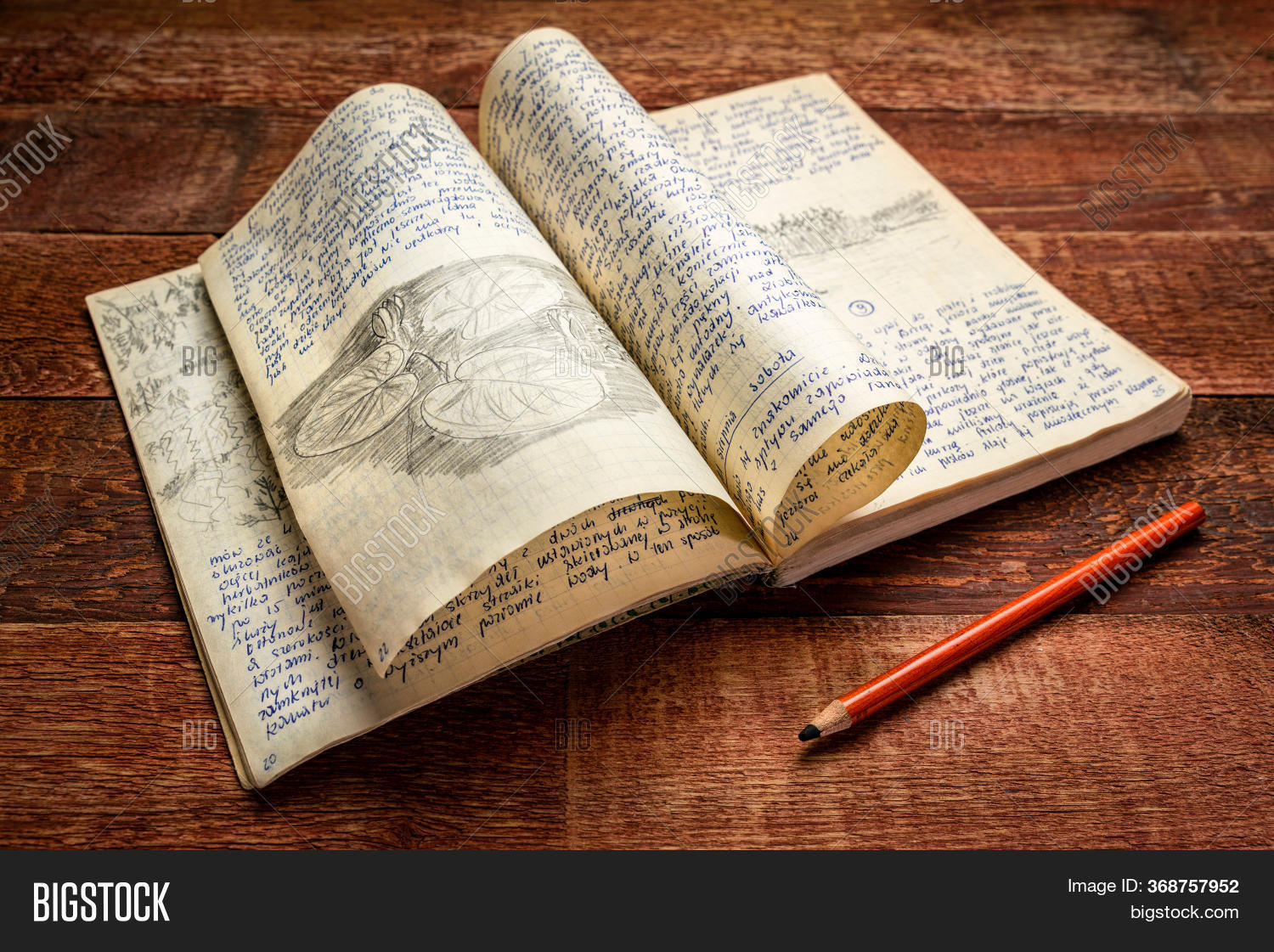 Vintage Expedition Image & Photo (Free Trial) | Bigstock