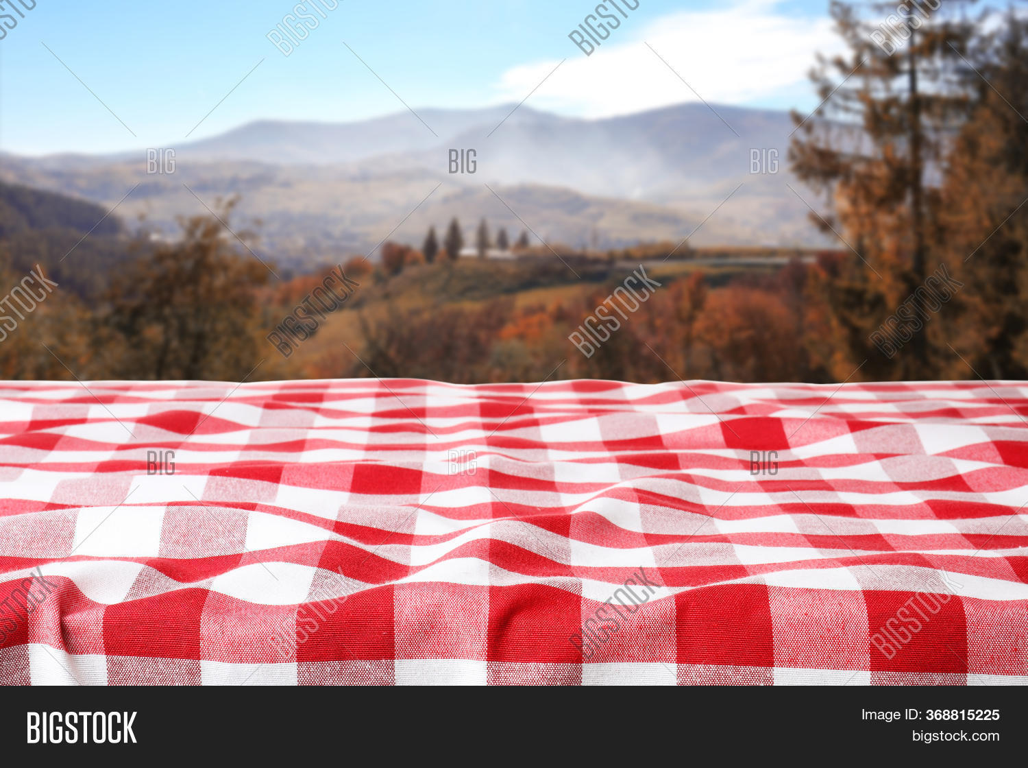 Picnic Table Checkered Image & Photo (Free Trial) | Bigstock