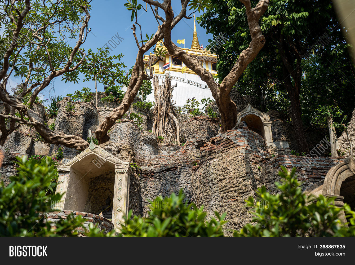 Beautiful View Golden Image & Photo (Free Trial) | Bigstock