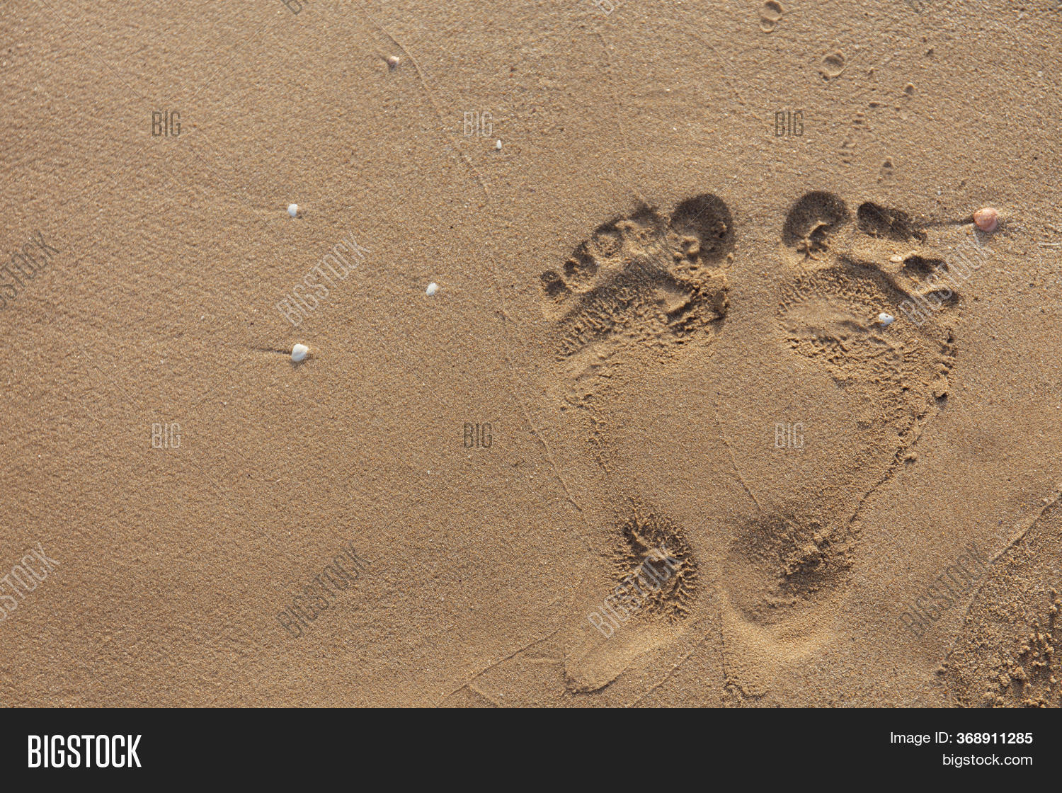 Top View Footprints On Image & Photo (Free Trial) | Bigstock