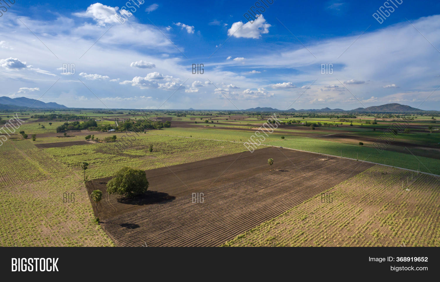 Aerial View Rows Soil Image & Photo (Free Trial) | Bigstock