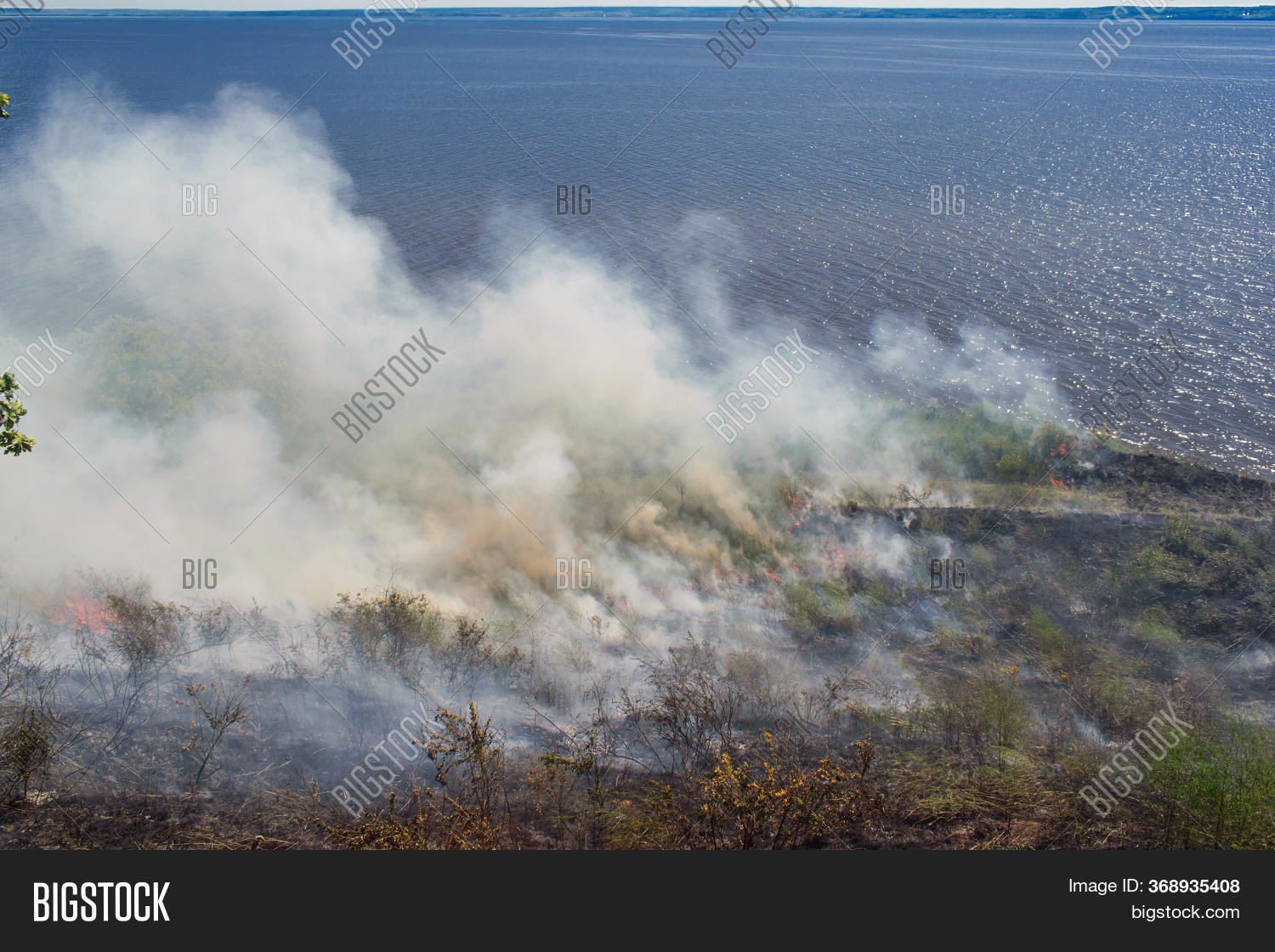 Smoke Fire Forest On Image & Photo (Free Trial) | Bigstock