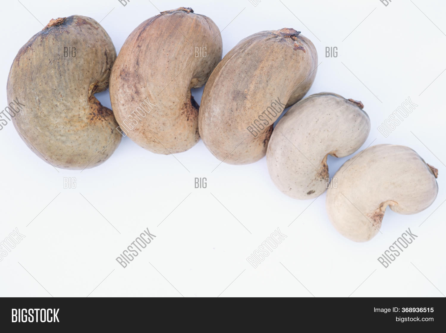 Cashew Nuts Shell Image & Photo (Free Trial) | Bigstock