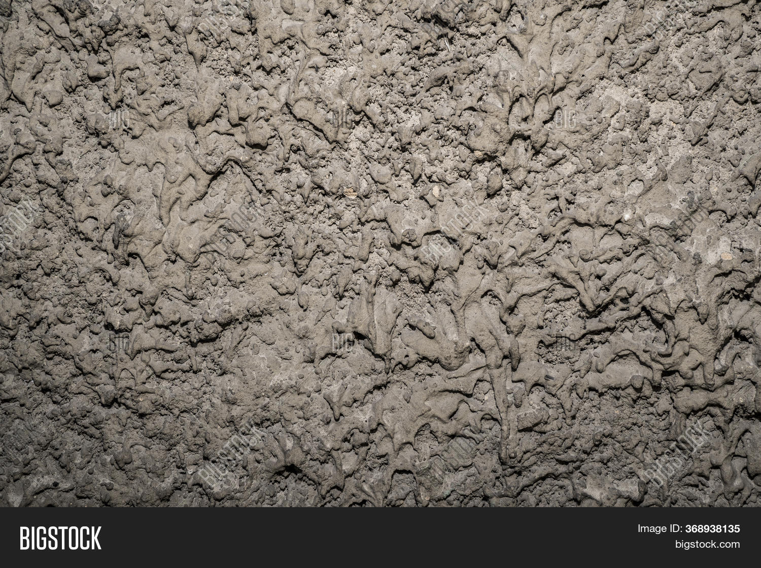Texture Rough Plaster Image & Photo (Free Trial) | Bigstock