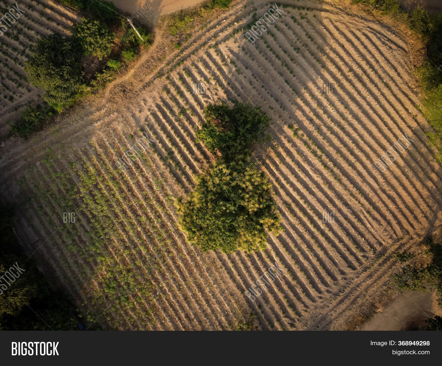 Country House, Aerial Image & Photo (Free Trial) | Bigstock