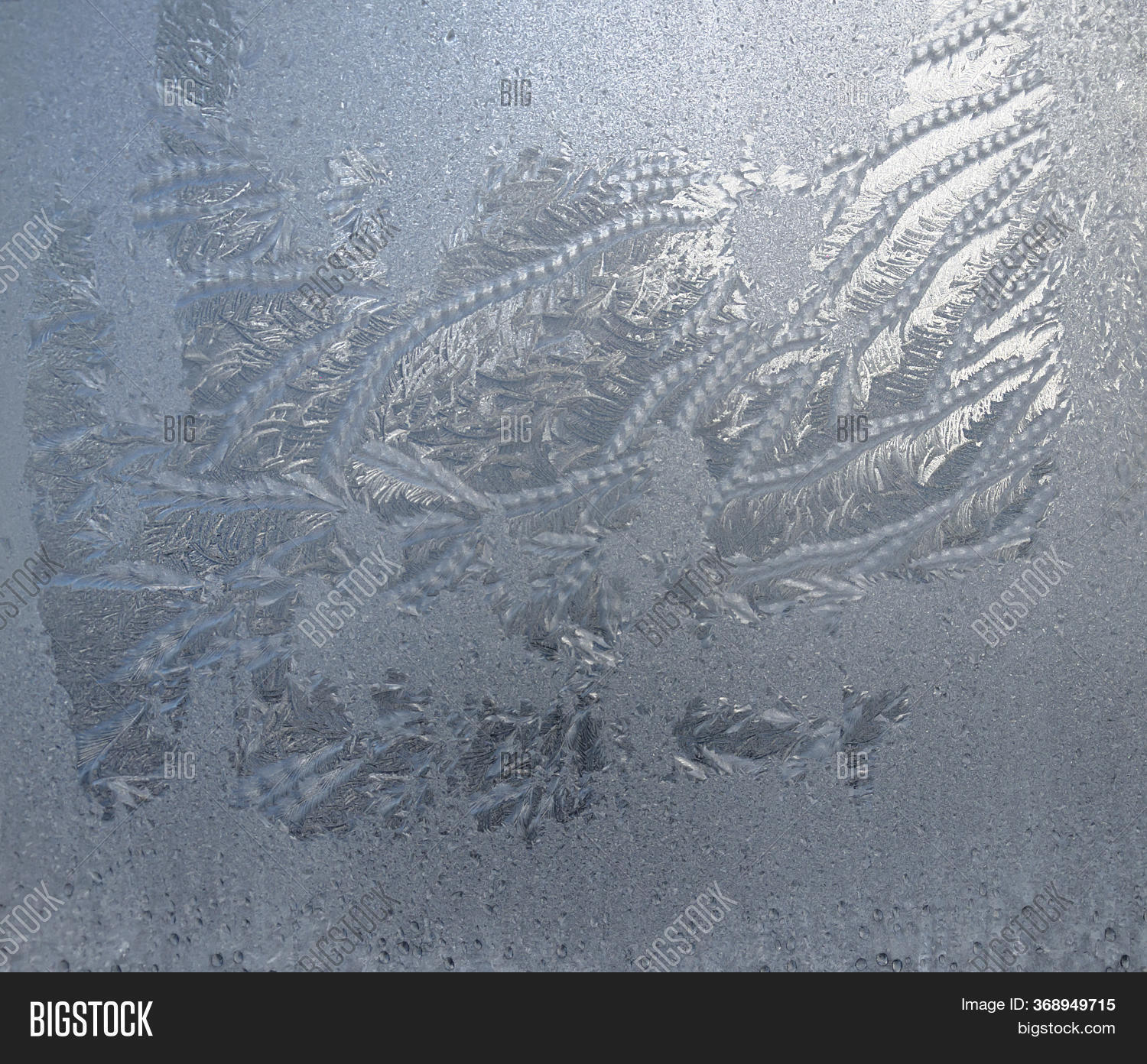 Winter Pattern Frost, Image & Photo (Free Trial) | Bigstock