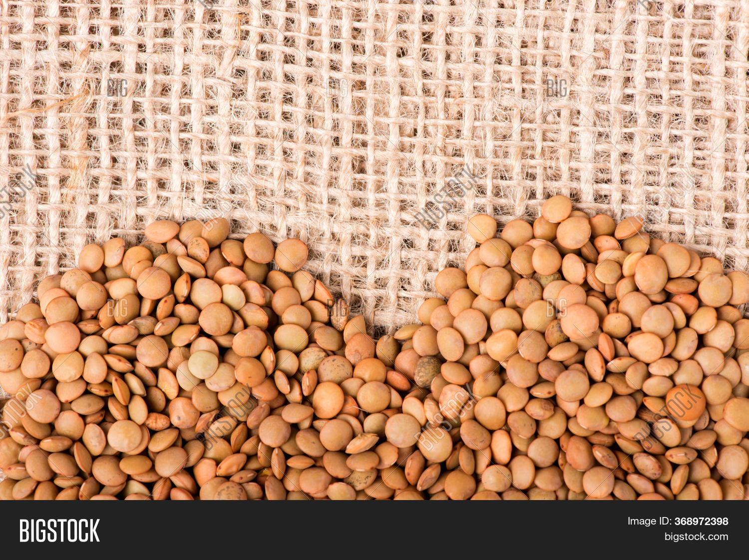 Lentils Close-. Green Image & Photo (Free Trial) | Bigstock