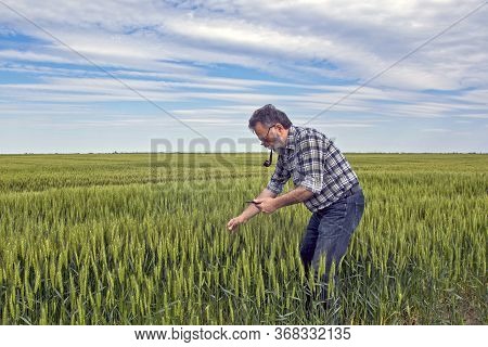 Farmer Field Image & Photo (Free Trial) | Bigstock