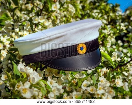 Swedish Graduation Cap Image & Photo (Free Trial) | Bigstock