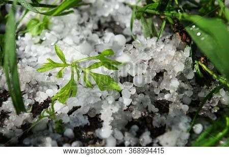Scene After Hail Storm Image & Photo (Free Trial) | Bigstock