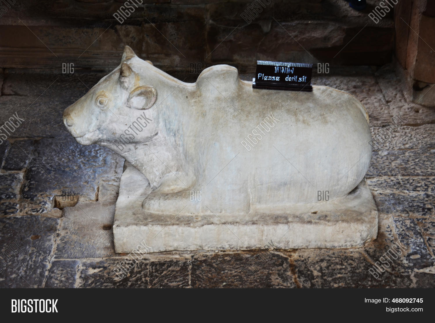 Holy Cow Statue Pet Image & Photo (Free Trial) | Bigstock