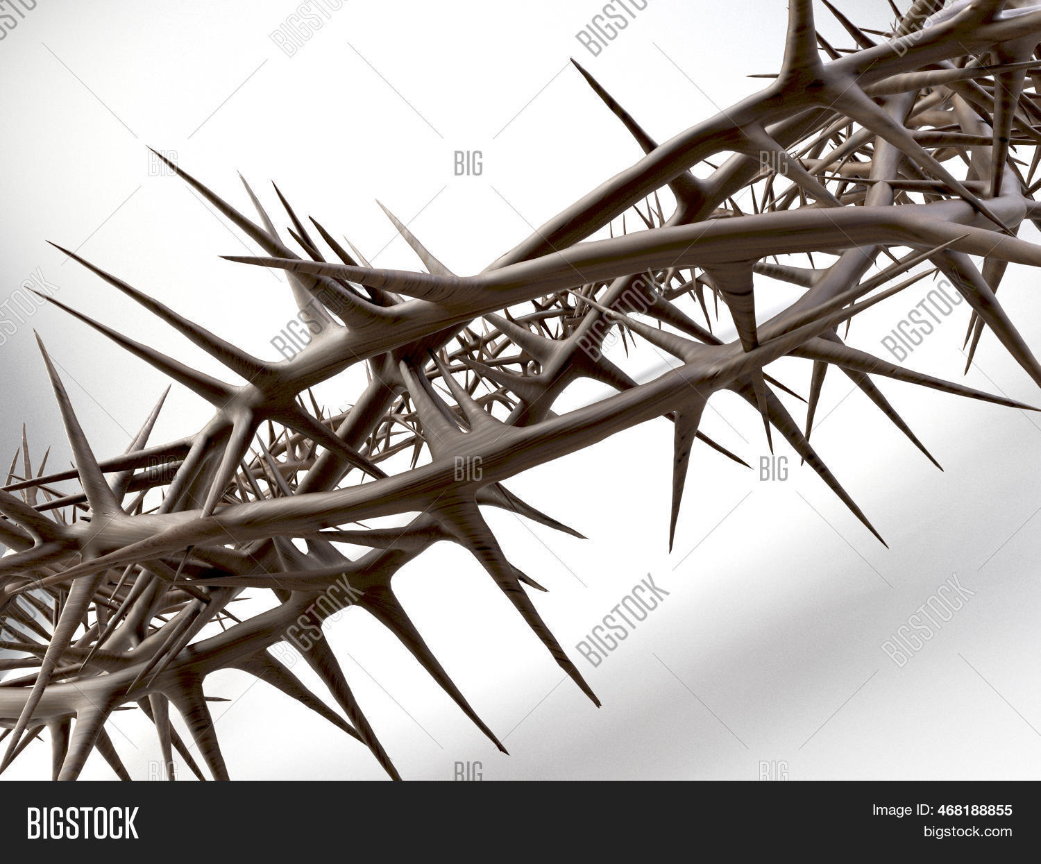 Branches Thorns Woven Image & Photo (Free Trial) | Bigstock