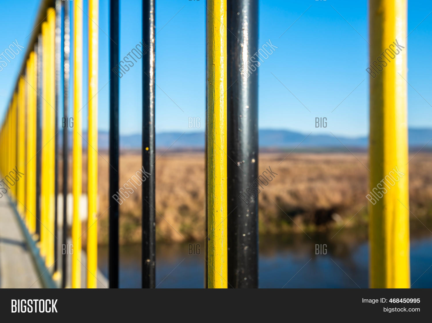 Yellow Black Painted Image & Photo (Free Trial) | Bigstock